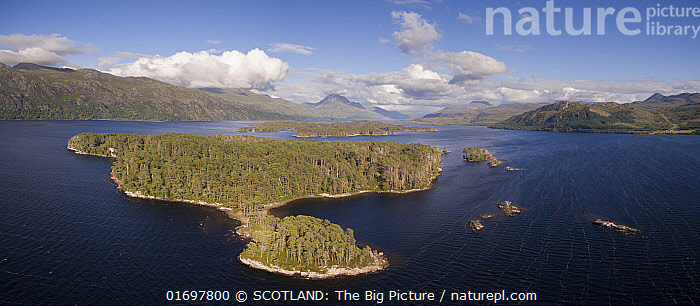 Stock photo of Aerial view of a wooded island on Loch Maree, Maree ...