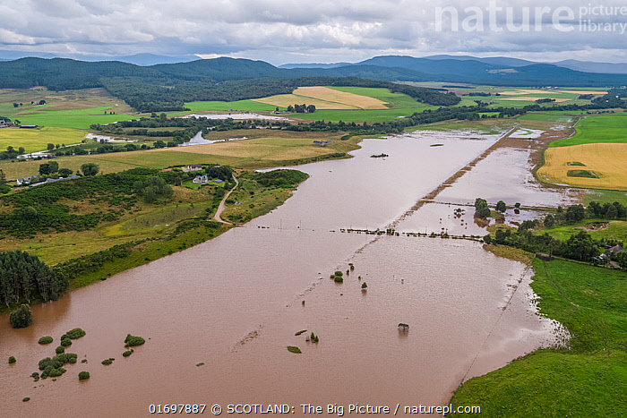 Stock photo of Aerial view of summer flooding over marshland and ...