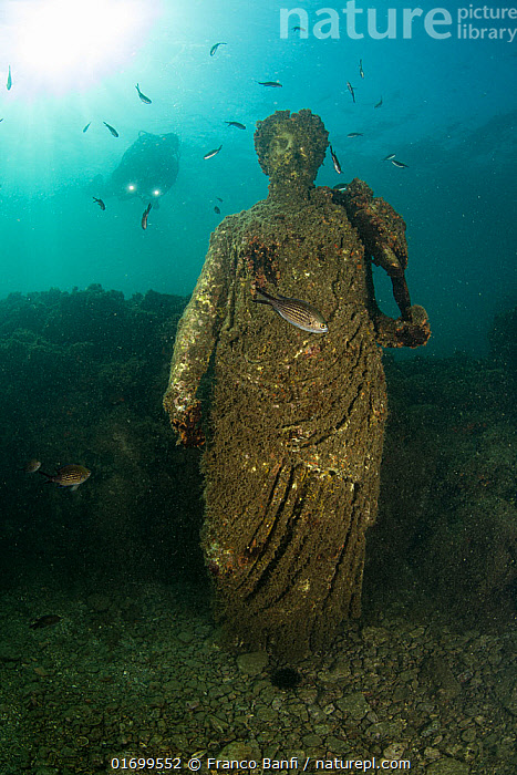 Stock photo of Scuba diver near ancient Roman Statue of Antonia minor ...
