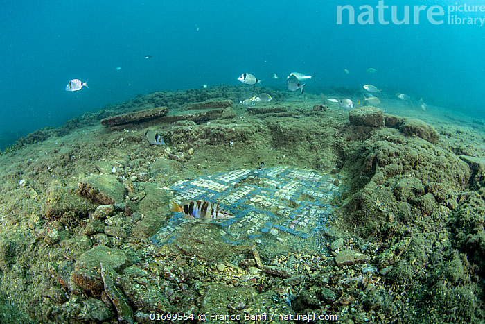 Stock photo of Ancient Roman polychrome mosaic situated in thermal ...