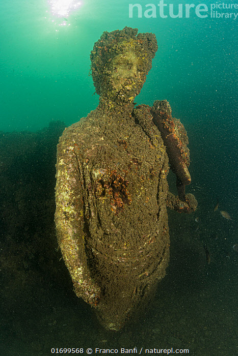 Stock photo of Ancient Roman statue of Antonia minor, member of Julio ...
