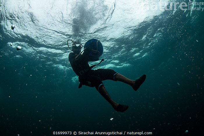 Stock photo of A compressor diving fisherman, from the indigenous Urak ...