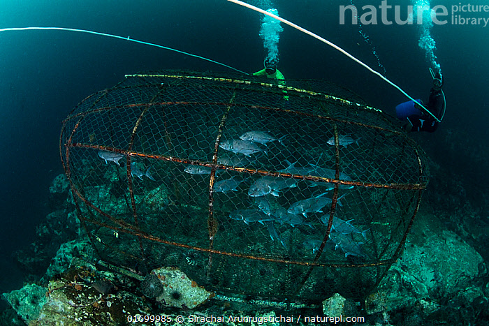 Stock photo of Two compressor diving fisherman, from the indigenous ...