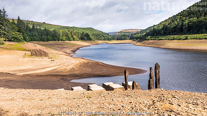 Stock photo of Low water levels and exposed railway foundations at ...