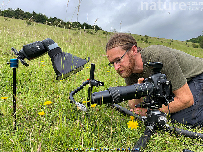 Stock photo of Photographer, Alex Hyde, at work in the field ...