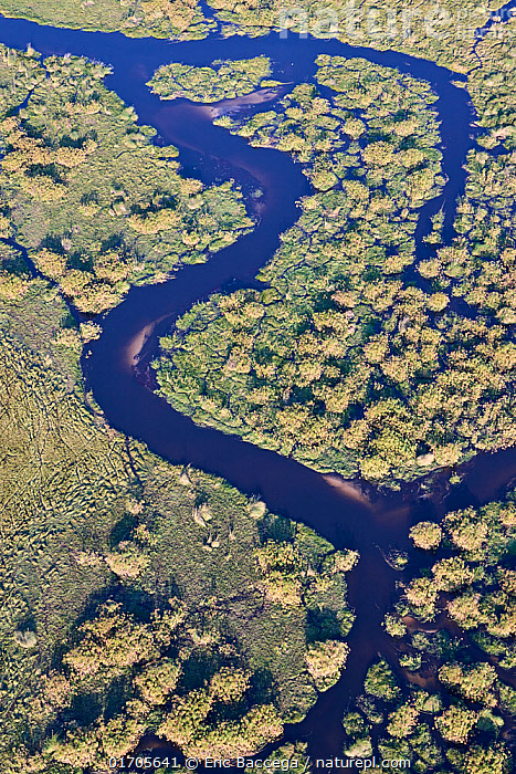Stock photo of Aerial view of the Okavango Delta with channels, lagoons ...