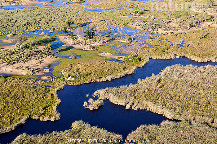 Stock photo of Aerial view of the Okavango Delta with channels, lagoons ...
