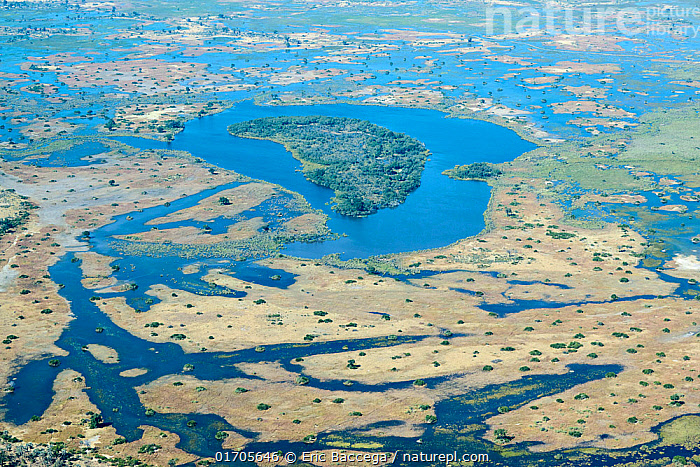 Stock photo of Aerial view of the Okavango Delta with channels, lagoons ...