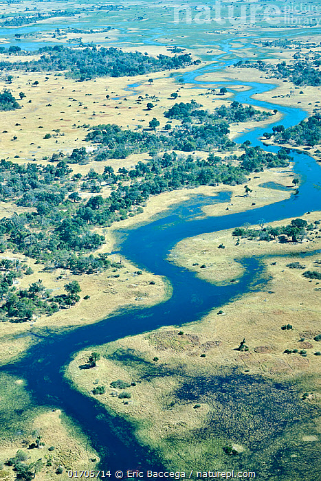 Stock photo of Aerial view of the Okavango Delta with channels, lagoons ...