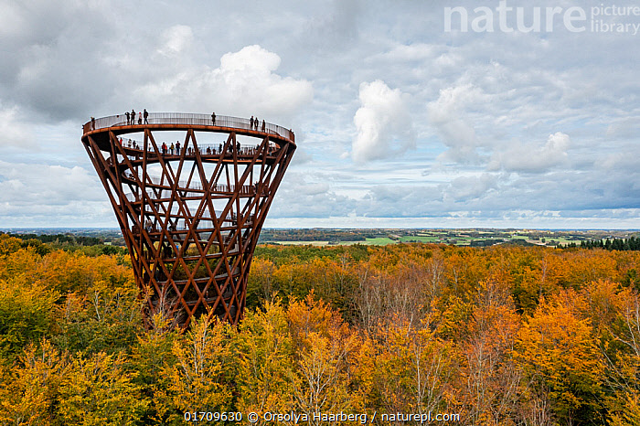 Stock photo of Aerial photograph of 45m high forest tower with people ...