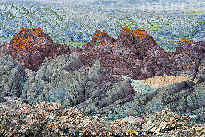 Stock photo of Mixed sedimentary rock ourctops, violet and green ...