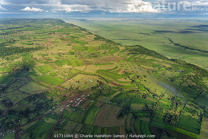 Stock photo of Aerial view of the Masai Mara border showing the line ...