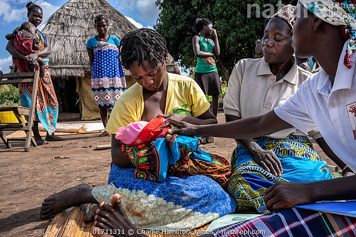 Stock photo of Traditional Birth Assistant advising a mother ...