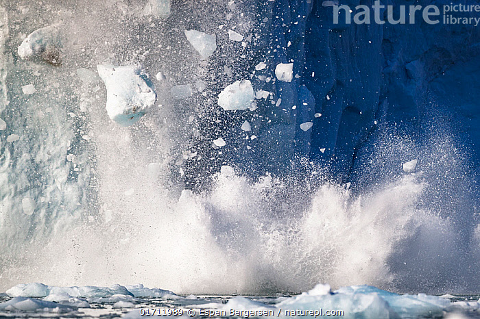 Stock photo of Big pieces of ice falling from glacier into fjord ...