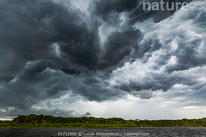 Stock photo of Stormy sky over rainforest, Yasuni National Park ...