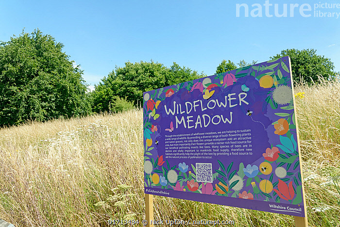 Stock photo of Information sign for wildflower meadow planted by a ...