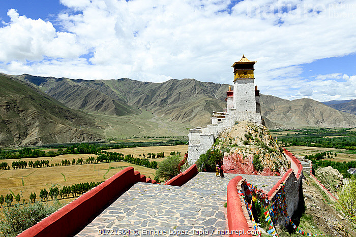 Stock photo of Yumbulagang Tower and Monastery, considered one of ...