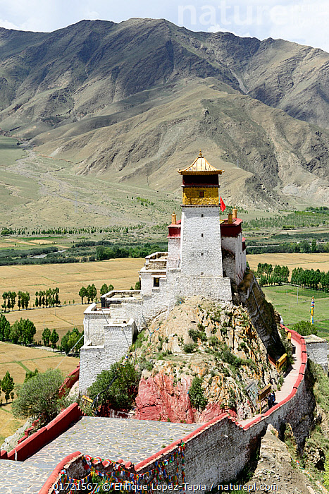Stock photo of Yumbulagang Tower and Monastery, considered one of ...