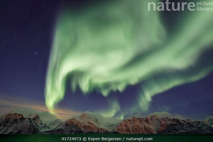 Stock photo of Aurora borealis across the night sky over the Lyngen ...