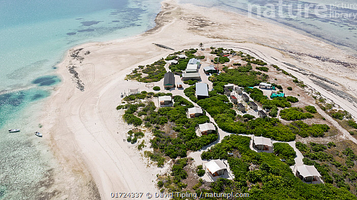 Stock photo of Aerial view of Blue Safari Eco camp on Wizard Island ...
