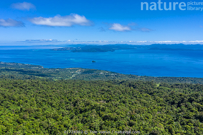 Stock photo of Aerial view of the lowland forests of Taveuni Island ...
