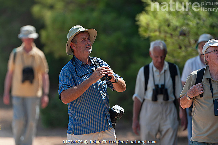 Stock photo of Group of birdwatchers with binoculars birdwatching ...