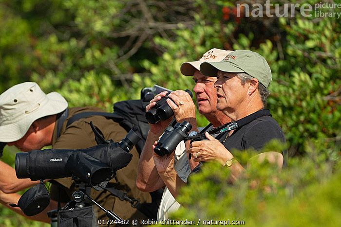 Stock photo of Group of birdwatchers with cameras and binoculars ...