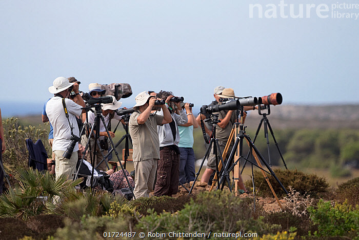 Stock photo of Group of birdwatchers with cameras and binoculars ...
