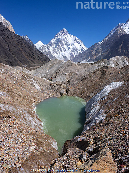 Stock photo of Godwin-Austen Glacier with summit of K2 in background ...
