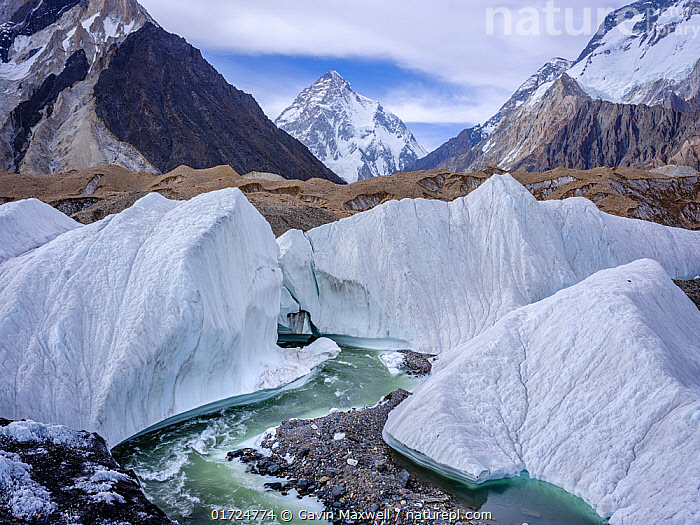 Stock photo of Confluence of Godwin-Austen and Baltoro Glaciers with ...