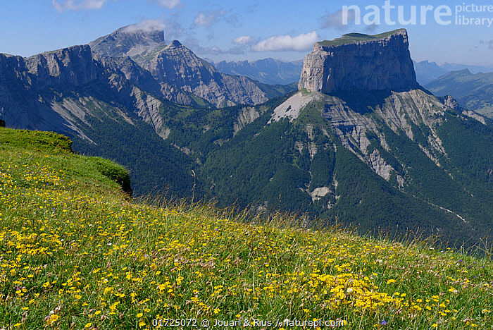 Stock photo of Mont Aiguille as seen from high altitude meadow, Vercors ...