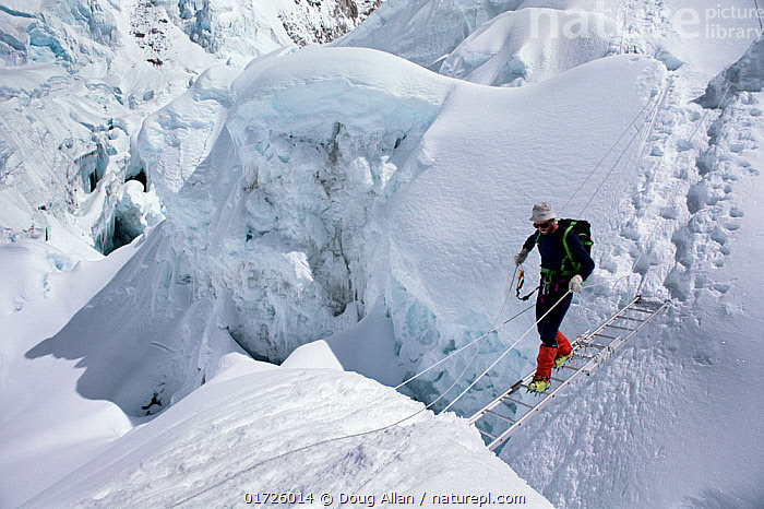 Stock photo of Climber walking across crevasse ladder, Khumbu ice fall ...