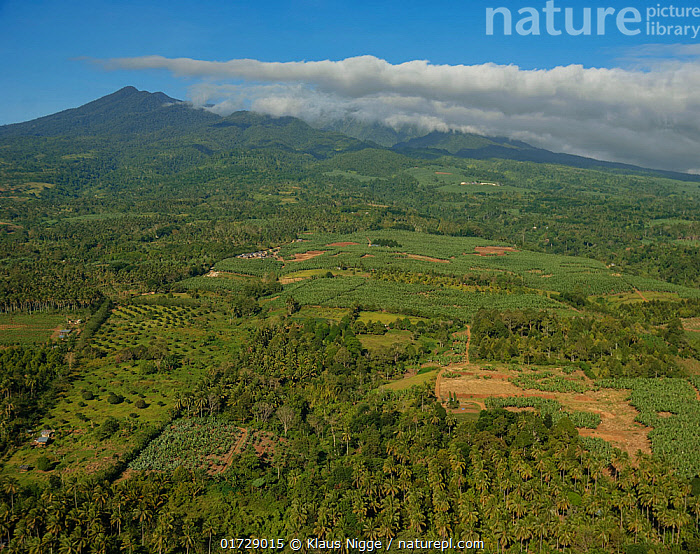 Stock photo of Aerial view of mountain deforested for agriculture ...