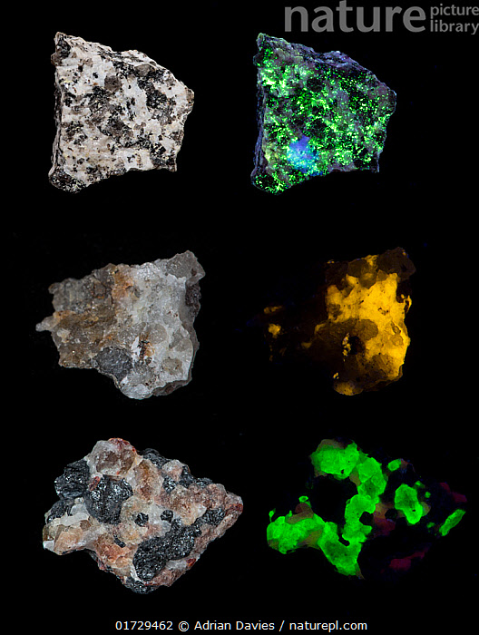 Stock photo of Minerals in visible light on left and fluorescing in UV ...