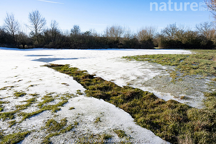 Stock photo of 12,000 year old Ice Age pond, cut in half by an old ...