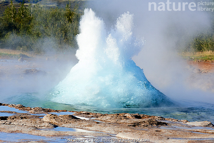 Stock photo of Strokkur Geyser erupting. Air bubbles bloat the ...