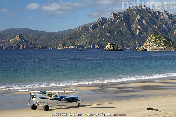 Stock photo of Transport plane on the beach runway of Codfish Island ...