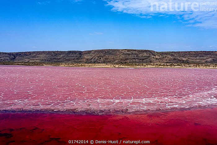Stock photo of Aerial view of pink, soda encrusted Lake Magadi, Rift ...
