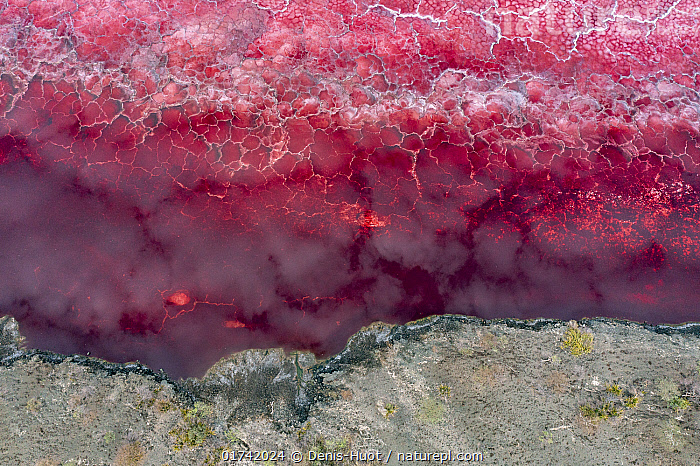 Stock photo of Aerial view of pink, soda encrusted Lake Magadi, Rift ...