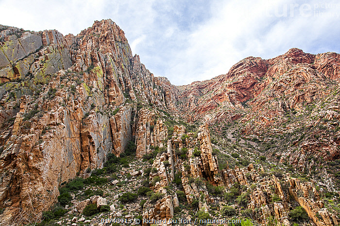 Stock photo of Cape Fold Mountains, Swartberg Pass, Western Cape ...