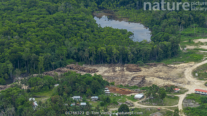 Stock photo of Aerial view of a logging base on Mussau Island, Murat ...