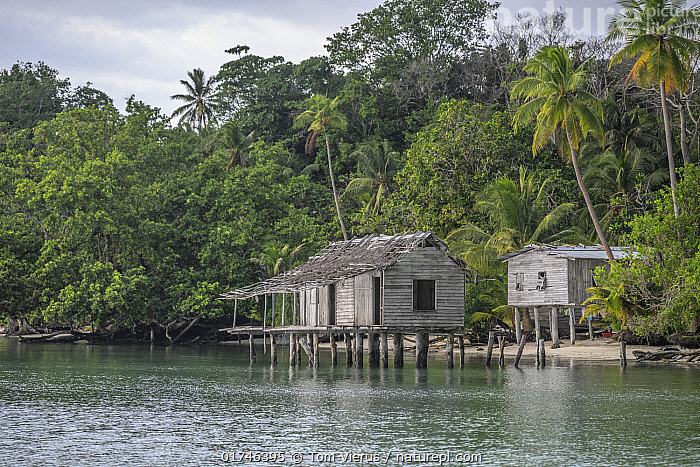 Stock photo of A traditional house built on stilts over water in ...
