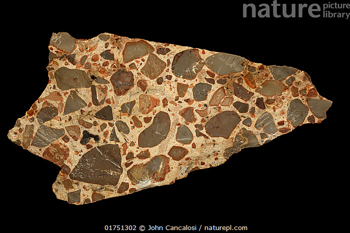 Stock photo of Rhyolite, igneous rock, silica-rich volcanic rock ...