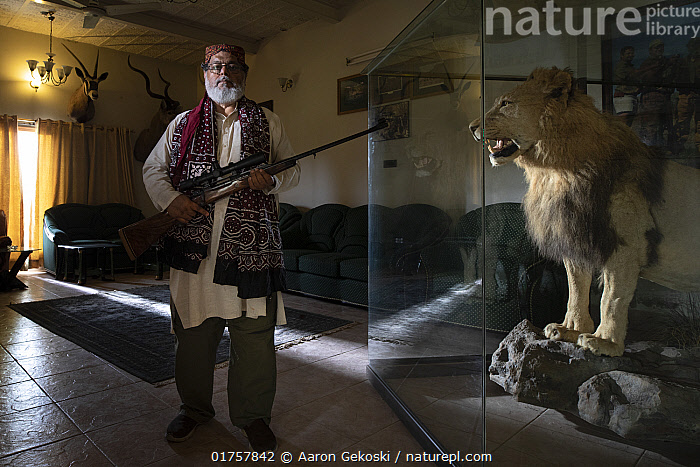 Stock photo of Pakistani big game hunter holding a rifle, standing next ...