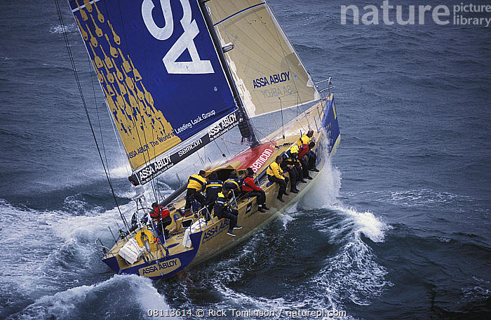 Stock photo of VO 60, "Assa Abloy", with crew weight to windward during ...