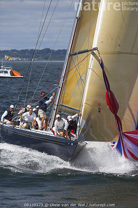 Stock photo of "Freedom" hoists its spinnaker while racing in the 12 ...