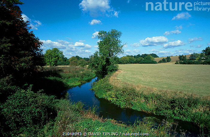 Stock photo of River Eden near Penshurst Kent England.. Available for ...