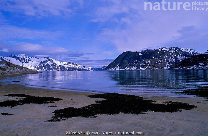 Stock photo of Funk Island Newfoundland Canada.. Available for sale on ...