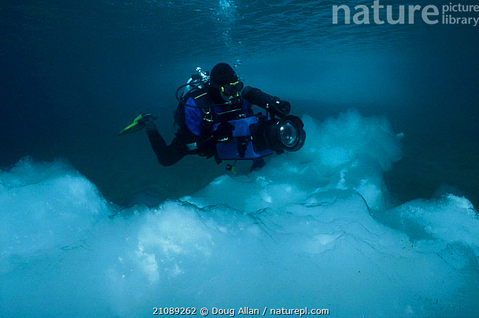 Stock photo of Doug Allan filming under ice Greenland. Available for ...