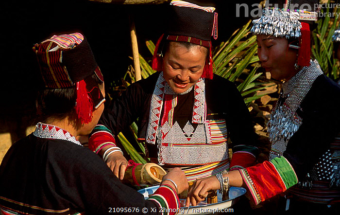 Stock photo of Women in traditional costume Dai ethnic group Yunnan ...